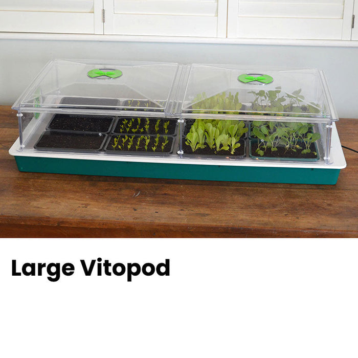 Vitopod Propagator for Seed Germination