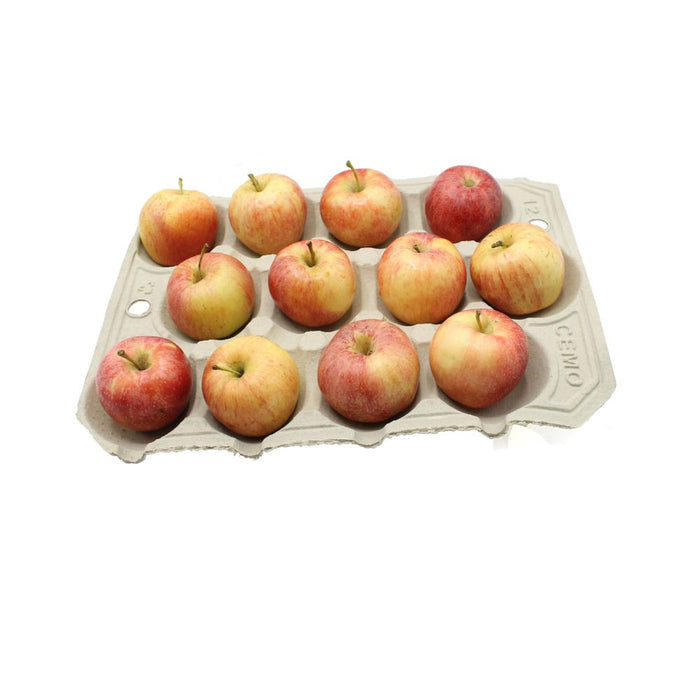 Biodegradable Apple Trays for Fruit Storage