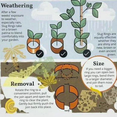 Copper Slug Barrier Rings (17cm/10cm) for Crop Protection