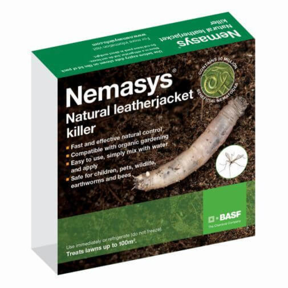 Nematodes for Leatherjackets 100 sqm