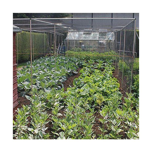 Walk in Fruit Cage Kits Complete with Netting, Pegs & Clips